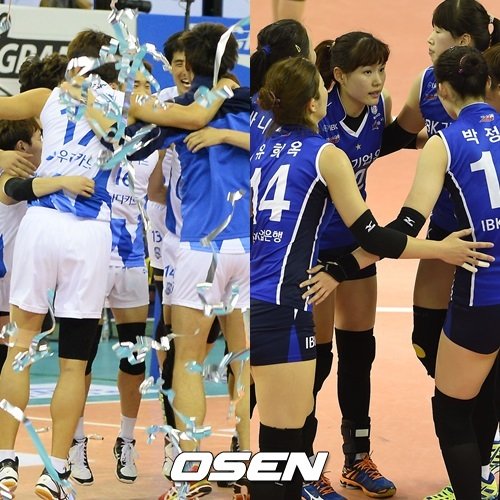 우리카드-기업은행, 2015 KOVO컵 우승(종합) : 네이트 스포츠