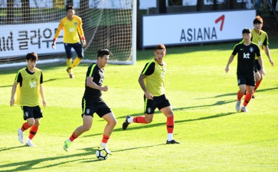 KFA, 파주NFC에 국내 최초 '하이브리드 잔디' 설치 : 네이트 스포츠