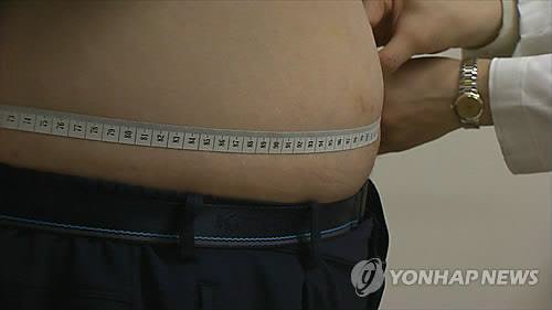한국 성인남성 비만율 첫 40 돌파···흡연율도 다시 상승세 네이트 뉴스