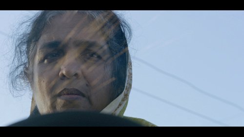 [2017 BIFF] 아시아 유망 감독 10人 '개성 경쟁' : 네이트 연예