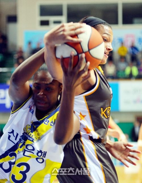 [SS포토]WKBL 외국인선수들 '치열한 리바운드다툼' : 네이트 스포츠