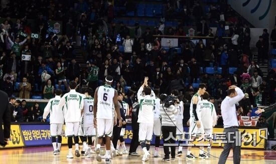 'KBL 정규리그 마감' DB, 6년 만에 정상 탈환…SK, 4강 PO 막차 탑승(종합) : 네이트 스포츠