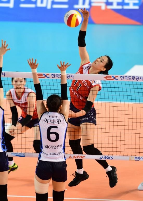 '최은지 24점' KGC인삼공사, IBK기업은행 꺾고 2연승 : 네이트 스포츠