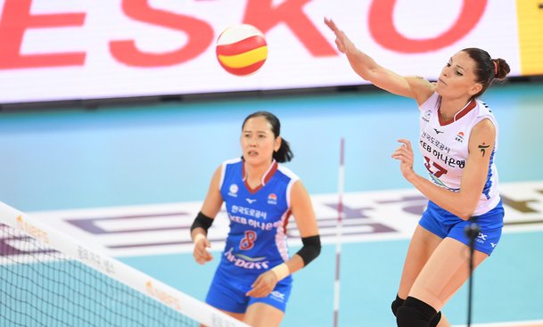 [KOVO컵] 돌아온 이바나, "한국은 제2의 고향…도로공사에서 뛰길 원했다" : 네이트 스포츠