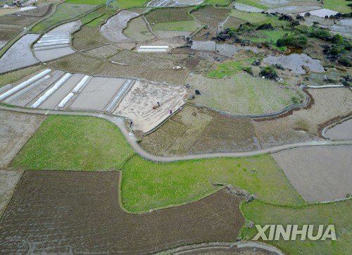 CHINA-GUANGXI-SPRING PLOUGHING(CN) : 네이트 뉴스