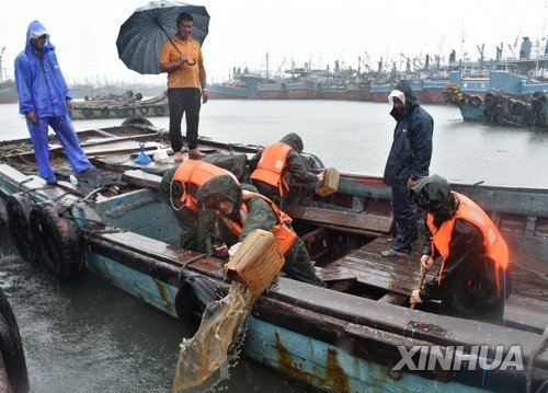 CHINA-FUJIAN-TYPHOON NESAT (CN) : 네이트 뉴스