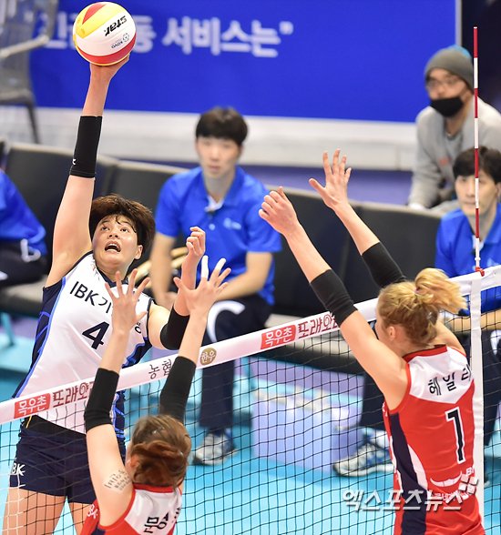 '김희진 23득점' IBK기업은행, KGC인삼공사 잡고 6연승 : 네이트 스포츠