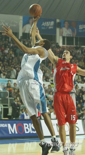 리바운드하는 KCC 하퍼 : 네이트 스포츠