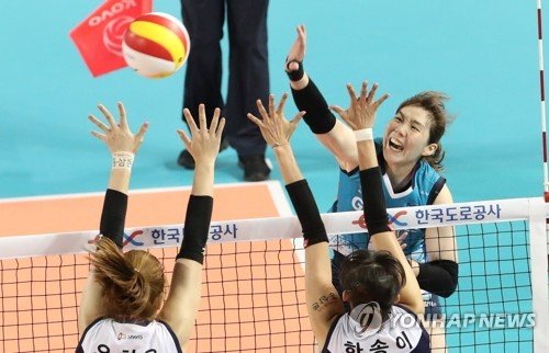 GS칼텍스, IBK기업은행 꺾고 KOVO컵 준결승 진출 : 네이트 스포츠